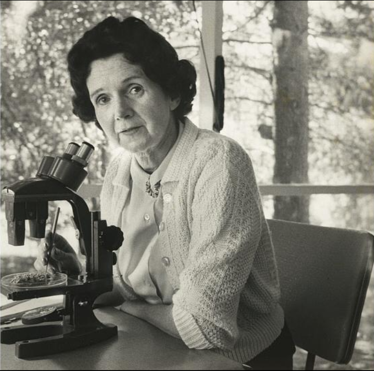 The Legacy of Rachel Carson | Silent Spring Institute